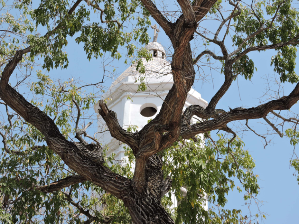 Pivijay (Magdalena) - Viajar en Verano