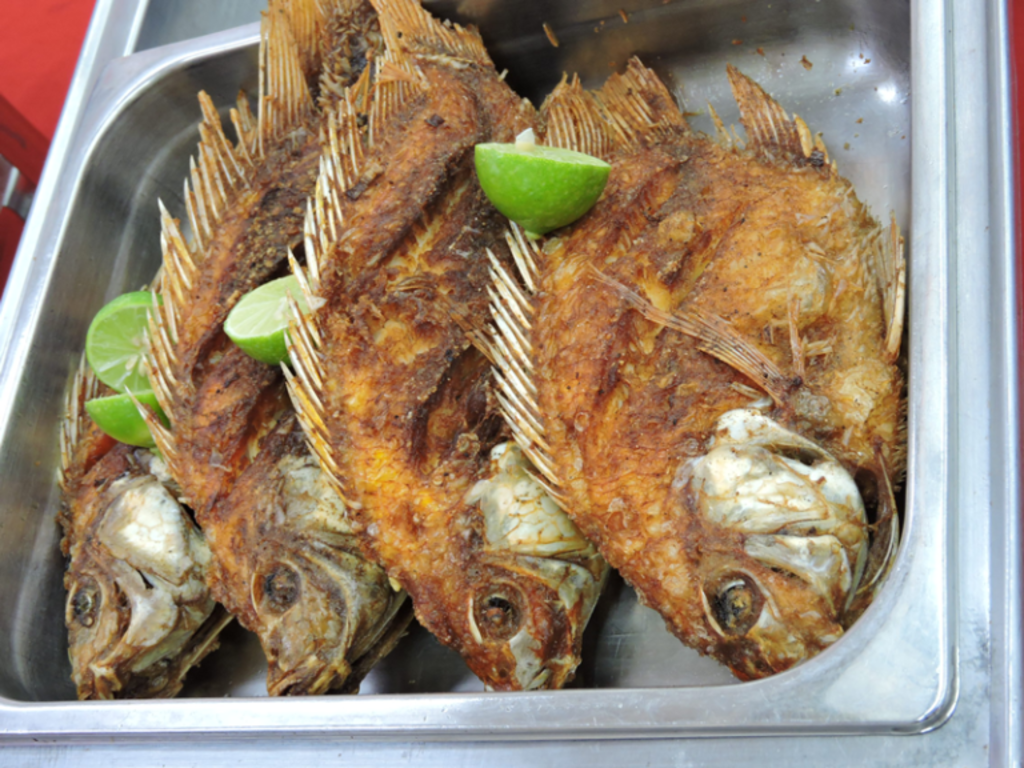 Agustín Codazzi (Cesar). - Viajar en Verano