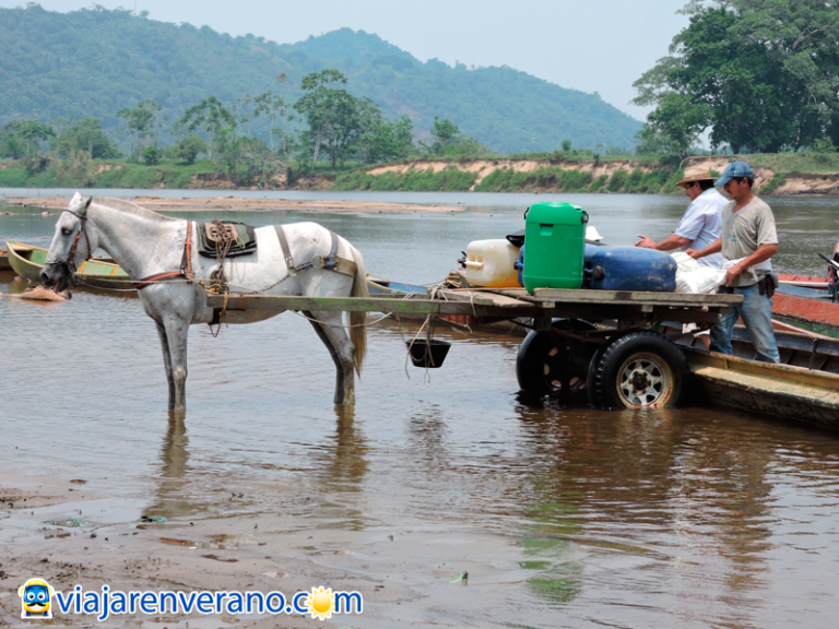Puerto Rico (Caquetá). - Viajar en Verano