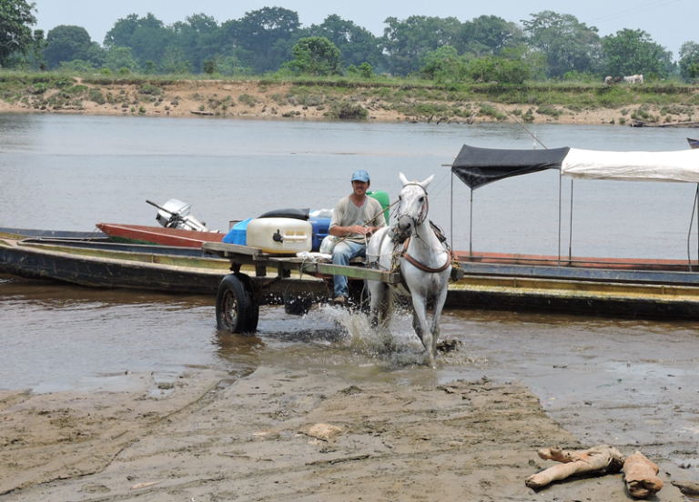 Puerto Rico (Caquetá). - Viajar en Verano