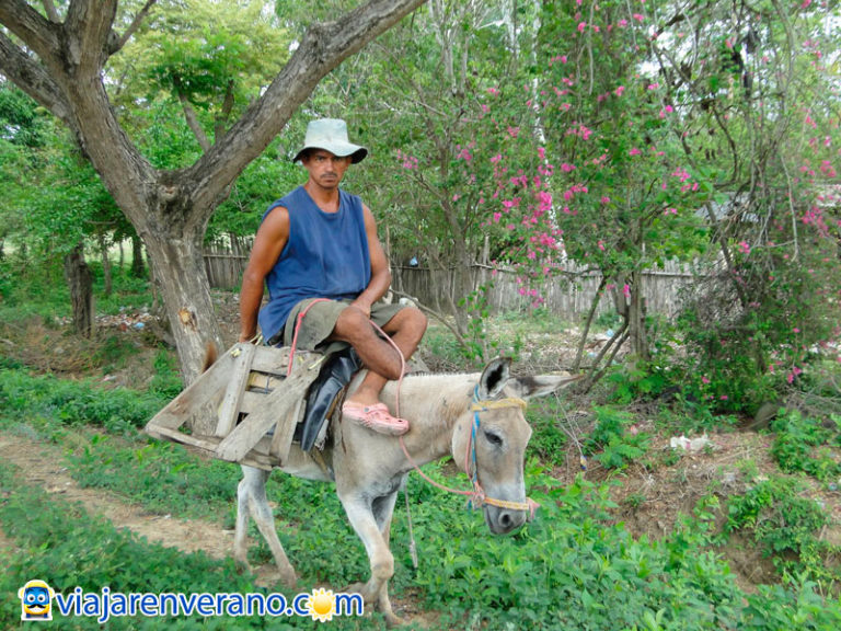 Chibolo-Campesino - Viajar en Verano