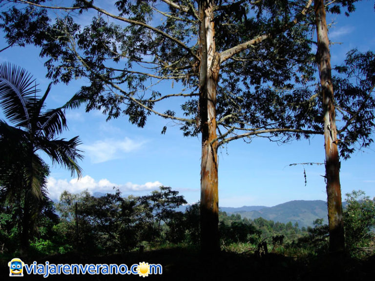 Guática (Risaralda) es un pueblo típico de la zona cafetera colombiana.
