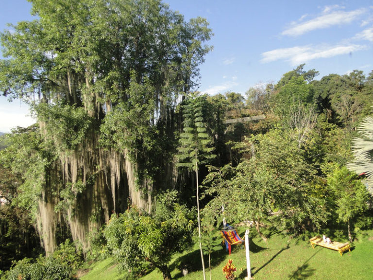 Chitaraque (Boyaca), gran productor de caña de azúcar y panela.