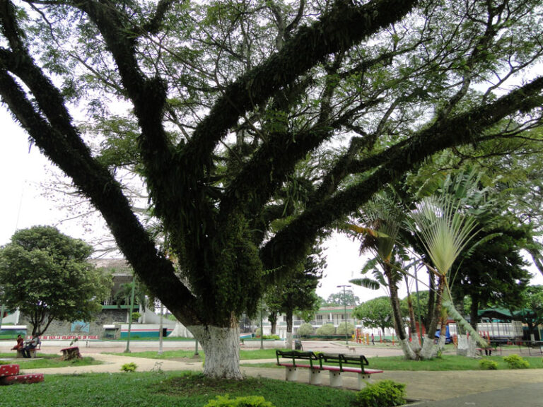 Mesetas (Meta) pueblo pujante en medio de reservas naturales.