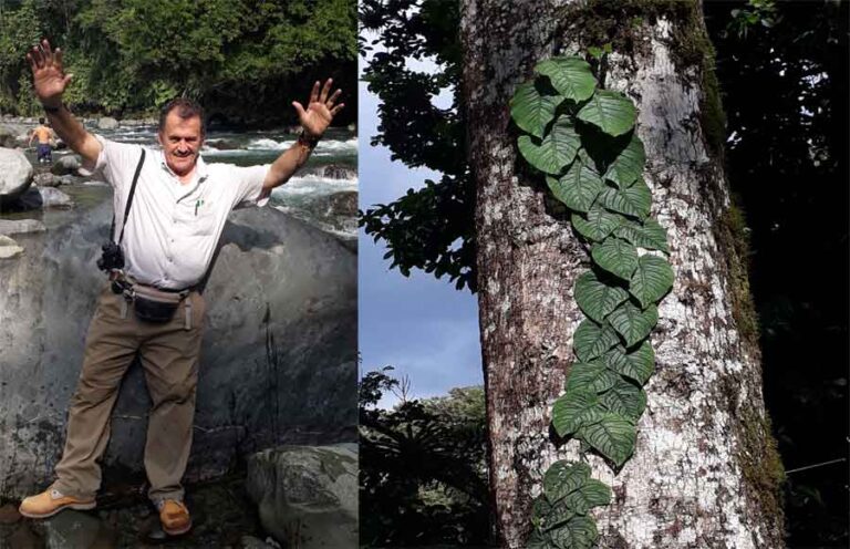 Mutatá (Antioquia), 'Puerta de Oro del Urabá' y destino de naturaleza,.