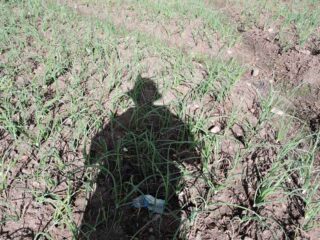 Por su origen indígena, Samacá es la 'Mansión del Soberano'.