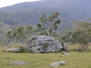 El-Guacamayo-Roca - Viajar en Verano