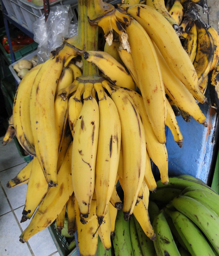 Entretenido viaje por carretera destapada.